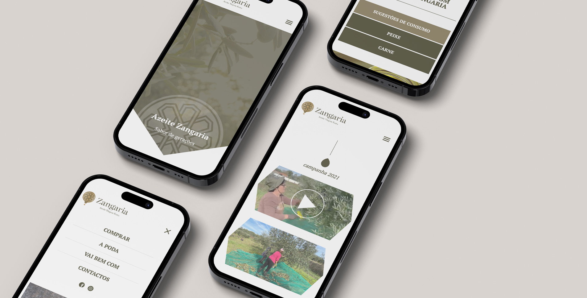 NETSIGMA – Professional Web Design Agency